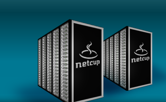 Root-Server « netcup.de Statusübersicht